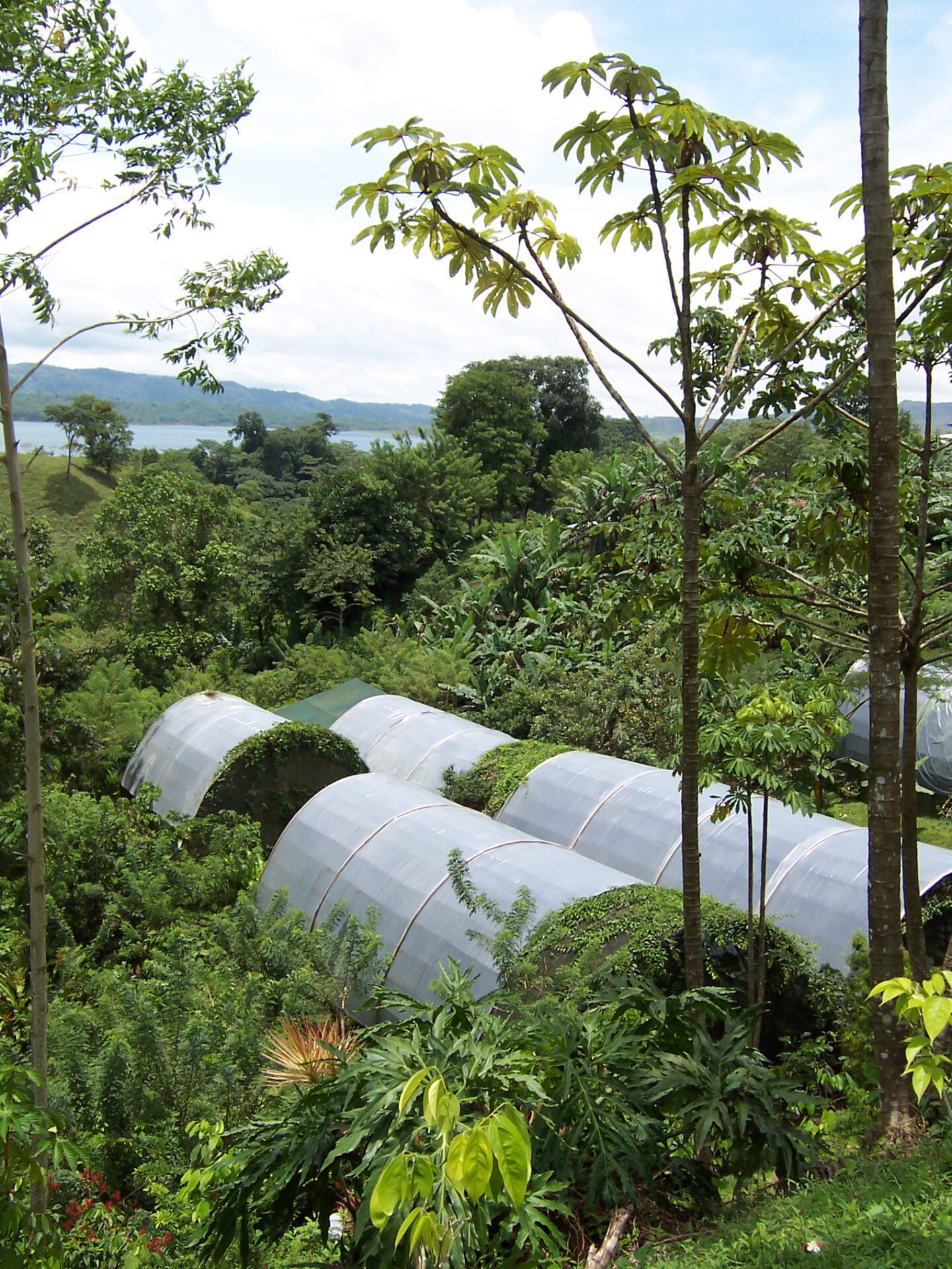 Educational Butterfly Sanctuary, El Castillo, Costa Rica
